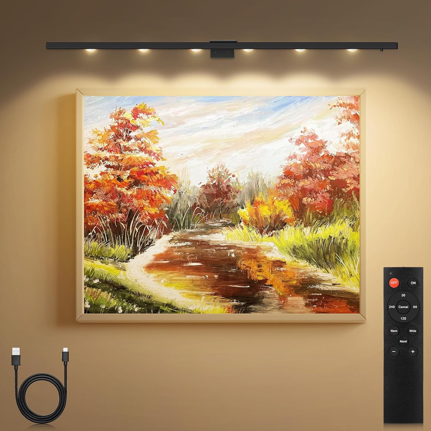 Wireless LED Picture Light with Remote,Rechargeable Battery Painting ...