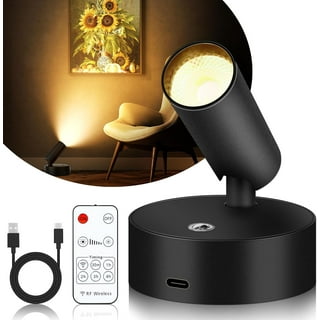 Spotlight with battery store