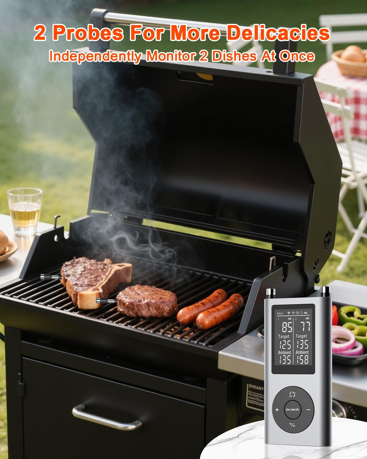 Wireless Meat Thermometer with 2 Probes & 800Ft Range - Smart Bluetooth ...