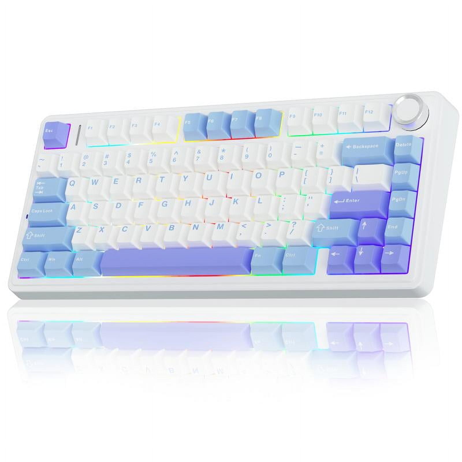 Wireless Mechanical Gaming Keyboard, Gasket Hot Swappable Tri-Mode USB ...