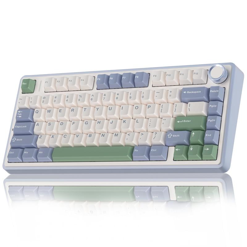 Wireless Mechanical Gaming Keyboard, Gasket Hot Swappable Tri-Mode USB ...