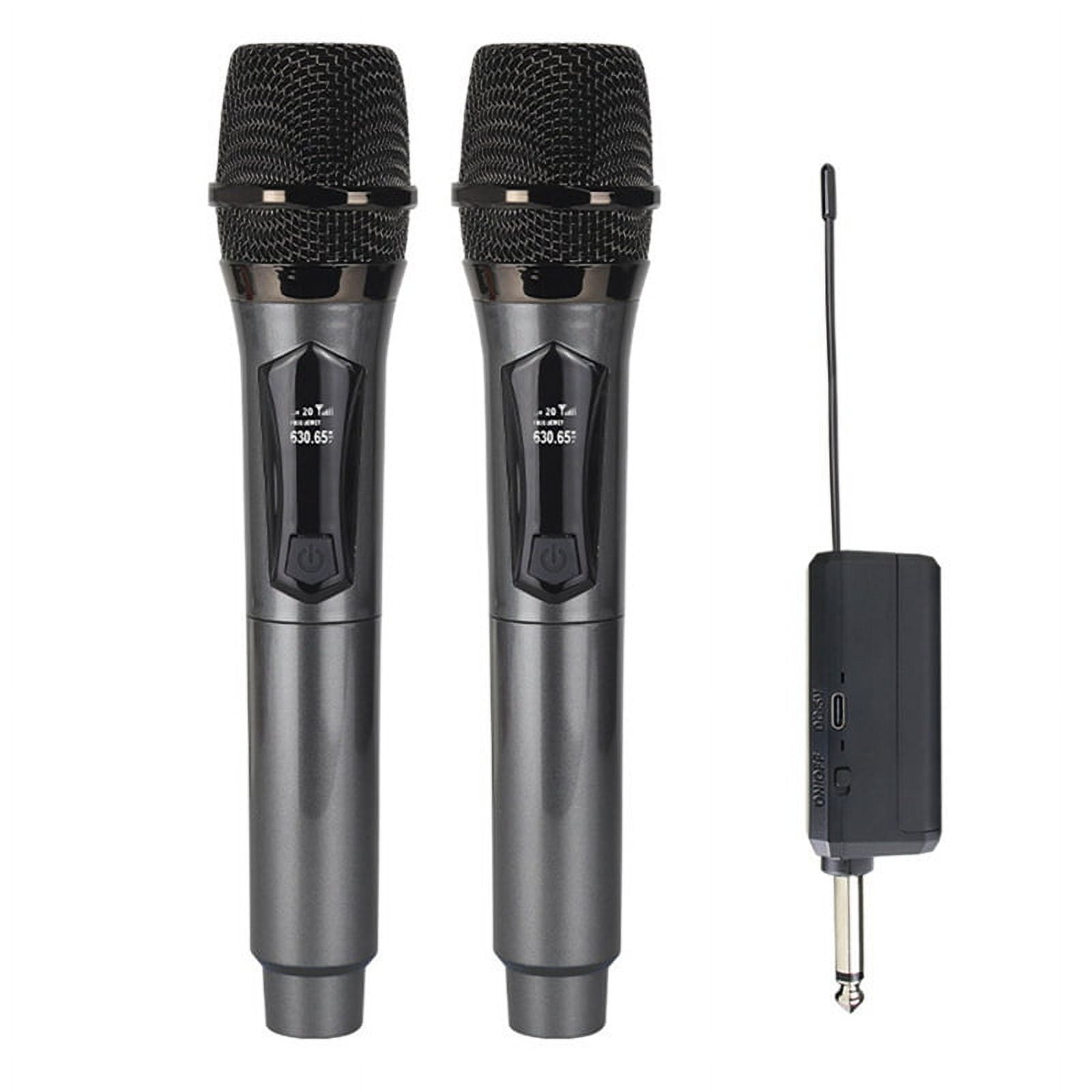 Wireless Microphone 2 Channels UHF Fixed Frequency Handheld Mic ...