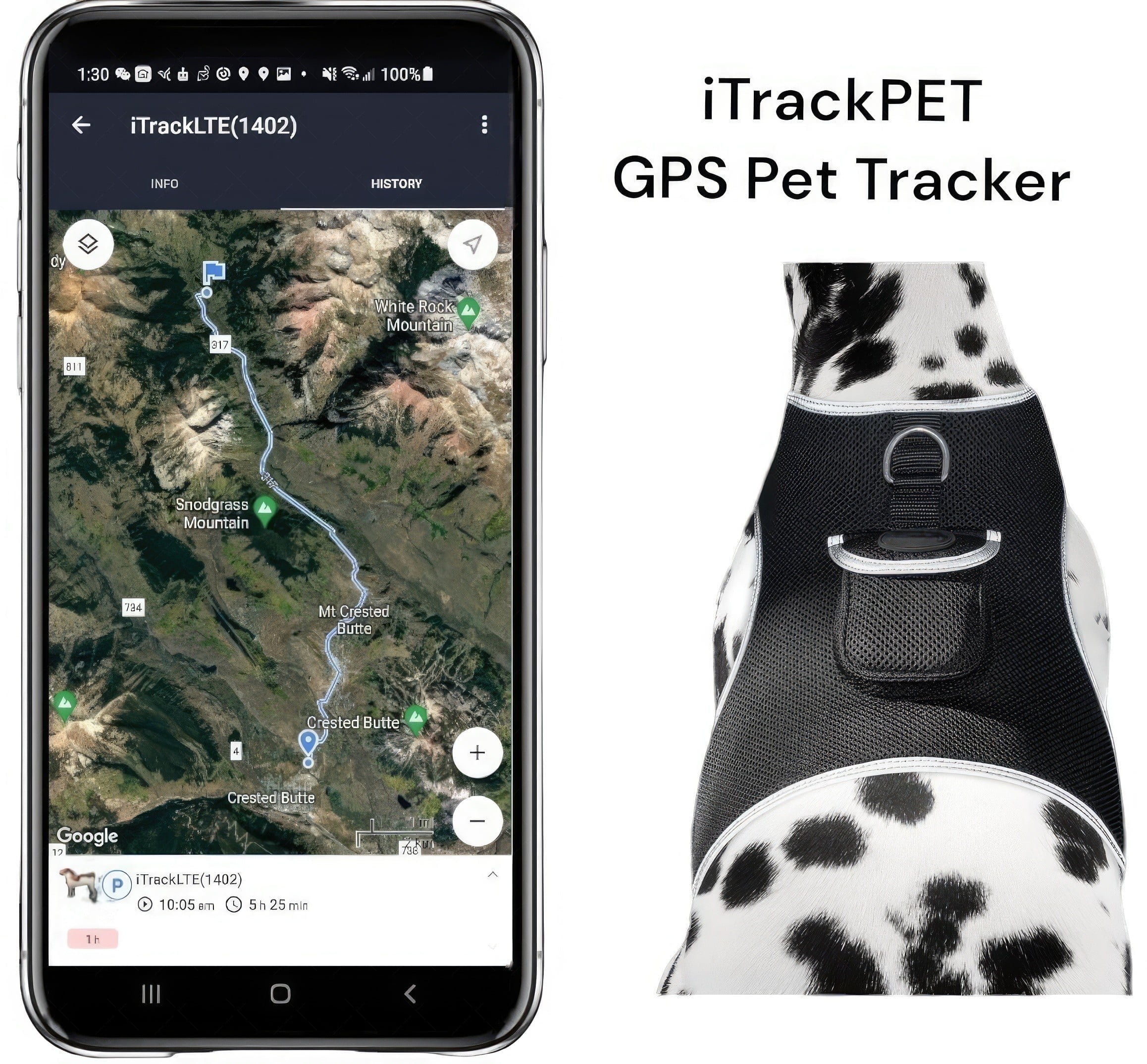Wireless Mini Waterproof Tracking Collars Realtime GSM GPS Pet Tracker ...