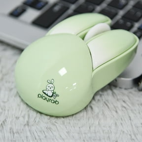 Computer Mouse Animal