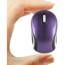 Computer Mouse Animal