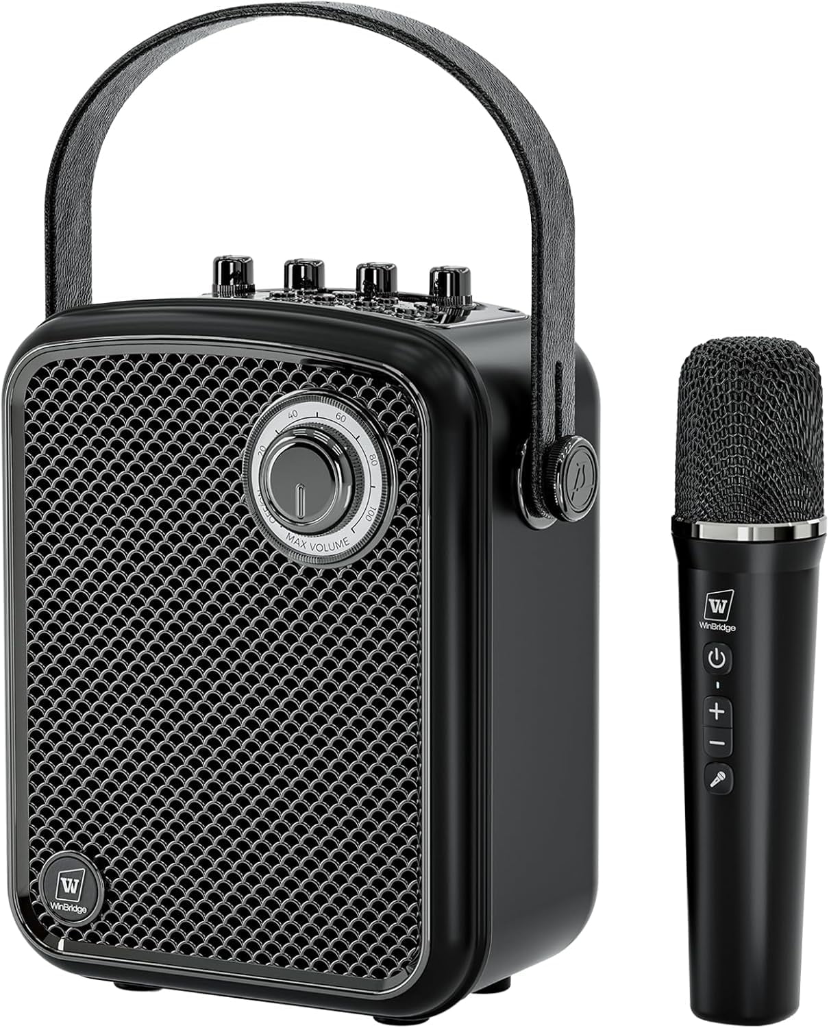 Wireless Voice Amplifier with Microphone, Portable PA Speaker System ...