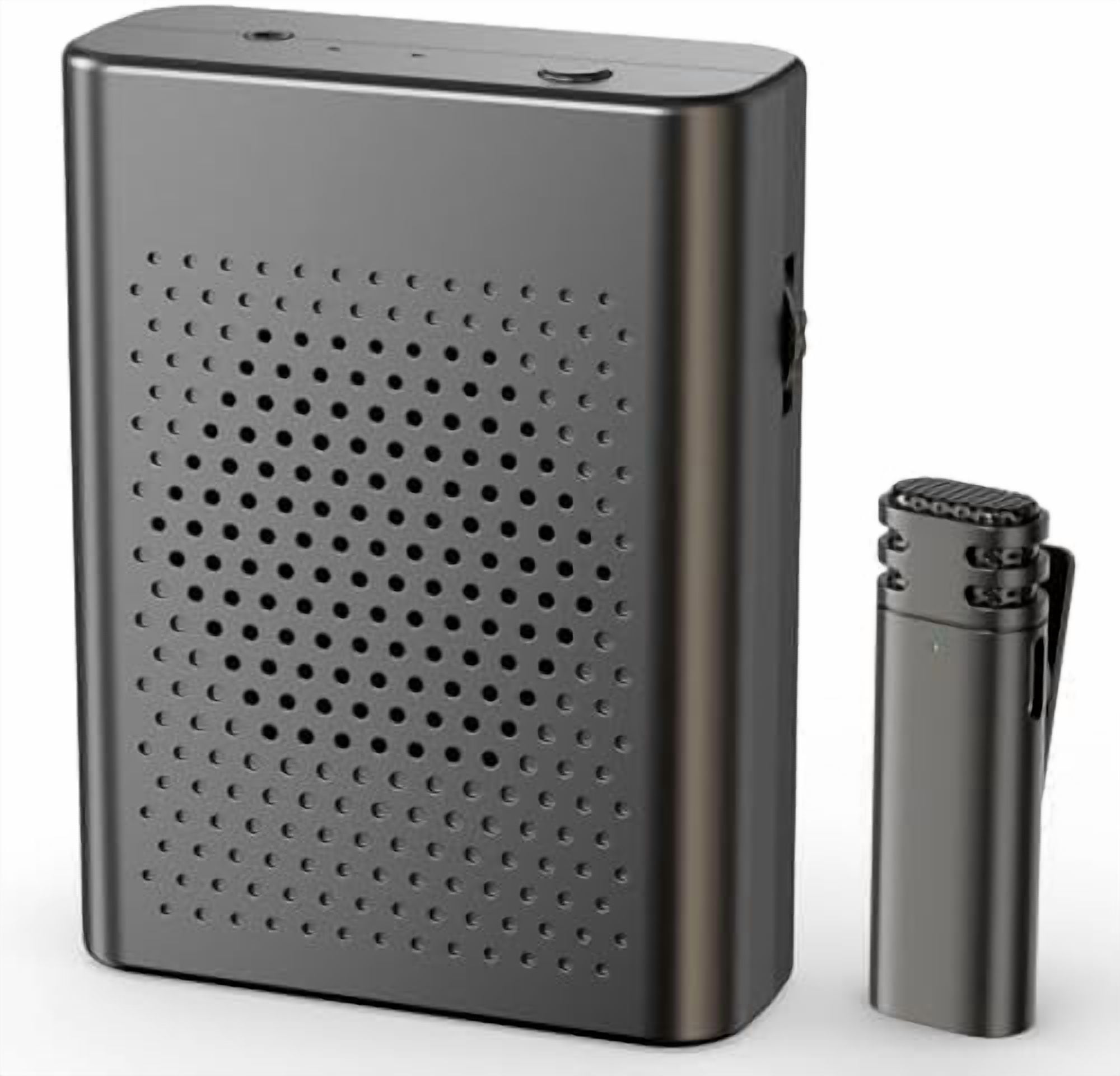 Wireless Voice Amplifier with Wireless Lavalier Microphone, PA System ...