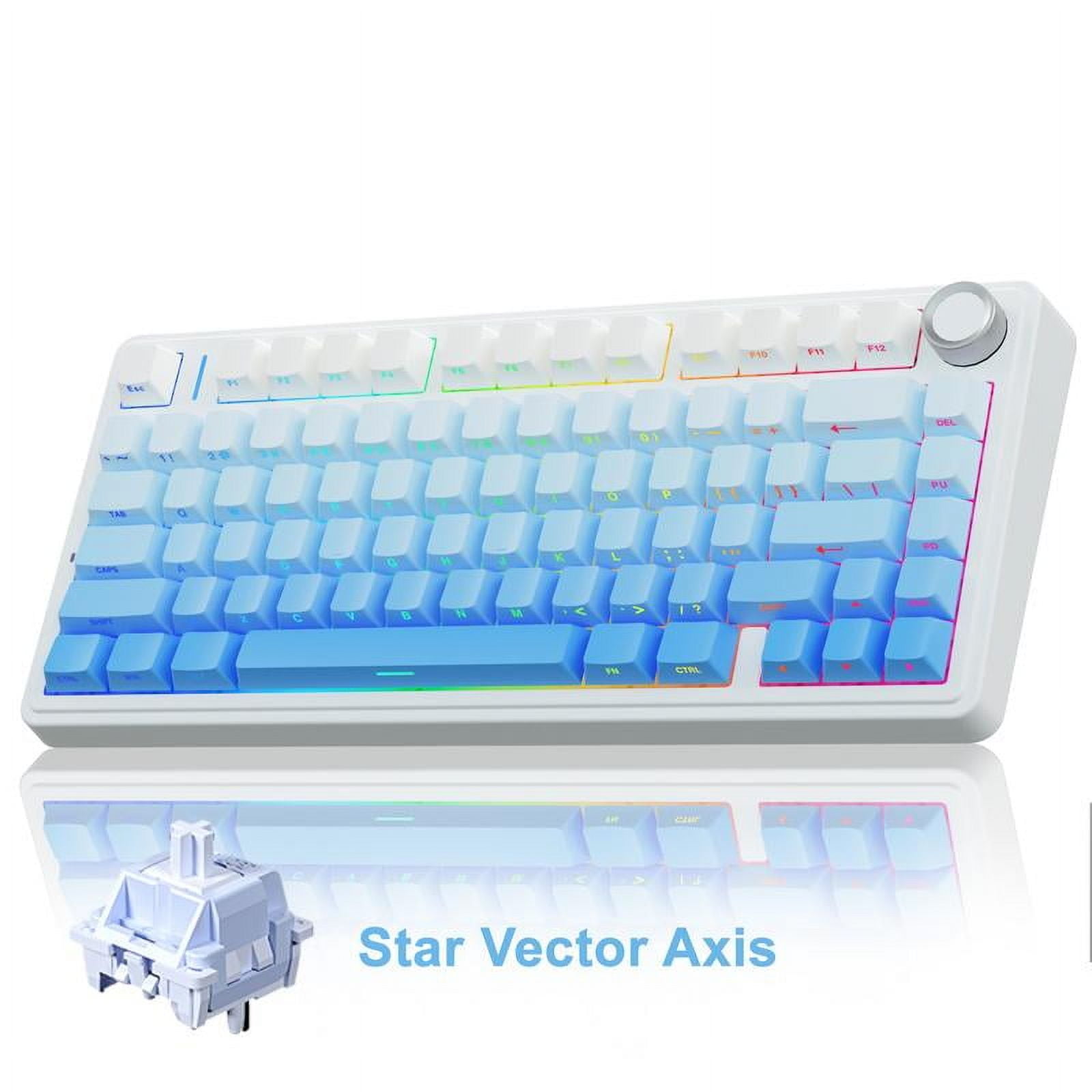 Wireless mechanical keyboard, 75% hot swap, USB charging, RGB backlight ...