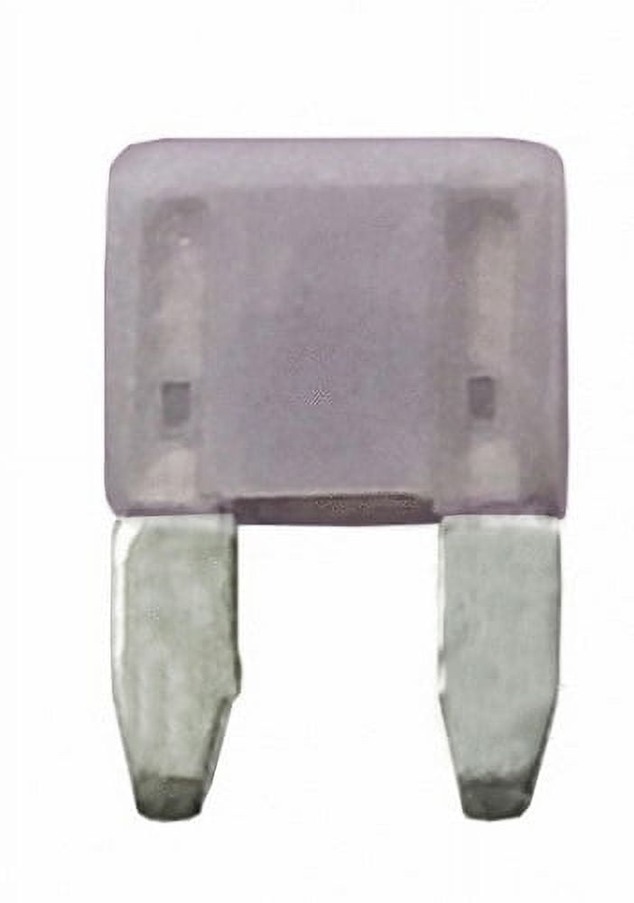 Wirth Co. - 24103-7 - ATM MINI-FUSE-3A-VIOLET - (Pack of 25) - Walmart.com