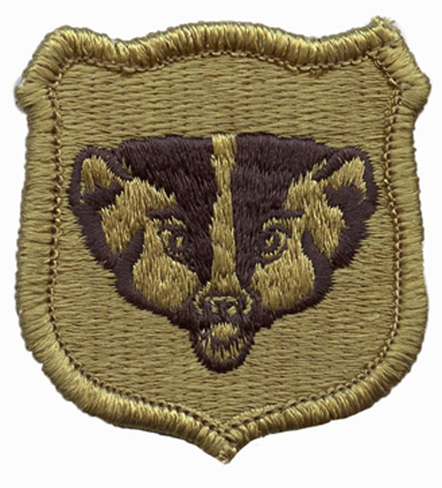 Wisconsin Army National Guard Subdued OCP Patch - Walmart.com