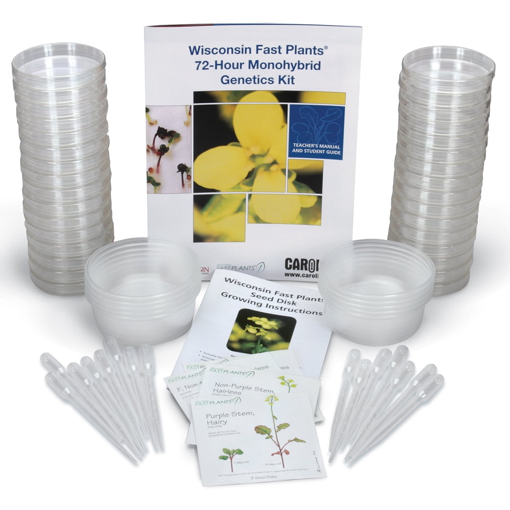 Monohybrid Genetics Kit for Indoor Playground Plant Experiments ...