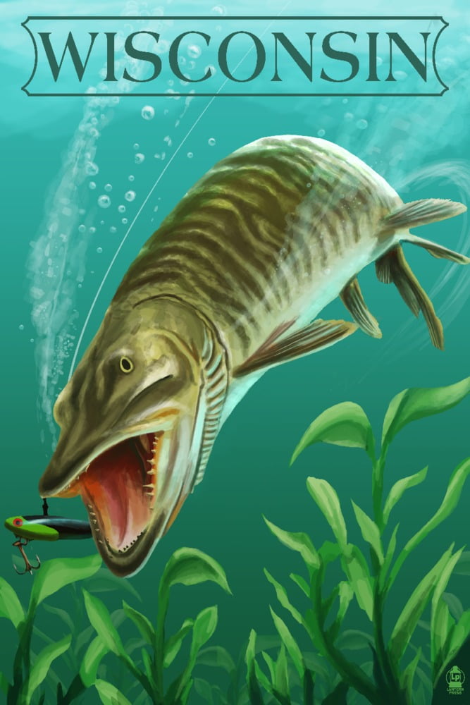 Wisconsin, Muskie (16x24 Giclee Gallery Art Print, Vivid Textured Wall ...