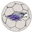 Wisconsin-Whitewater Soccer Ball 27" diameter - Walmart.com