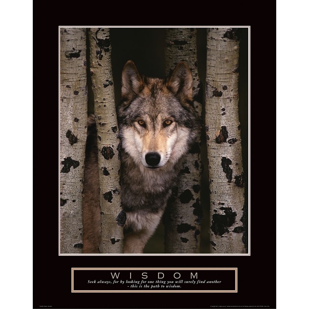 Wisdom - Grey Wolf Poster Print by Frontline Frontline - Walmart.com