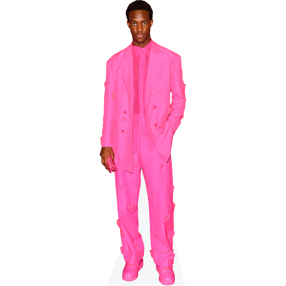 Wisdom Kaye (Pink) Lifesize Cardboard Cutout Standee - Walmart.com