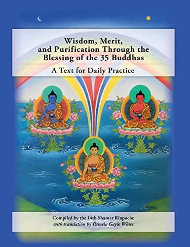 Pre-Owned Wisdom, Merit, and Purification Through the Blessing of the ...