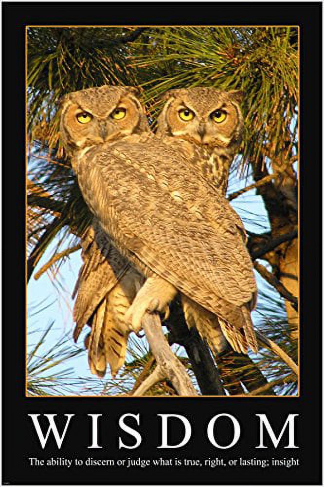 Wisdom Owl Definition Quote Inspirational Poster 20x30 Positive ...