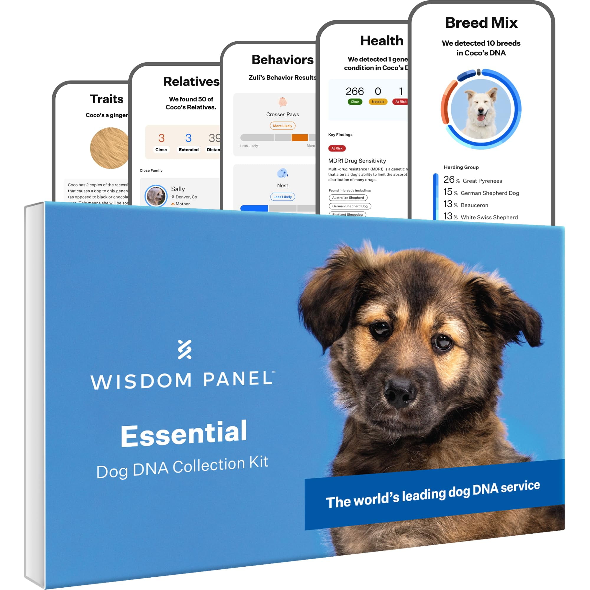 Wisdom Panel Essential Dog STF9 DNA Kit: Most Accurate Test for 365 ...