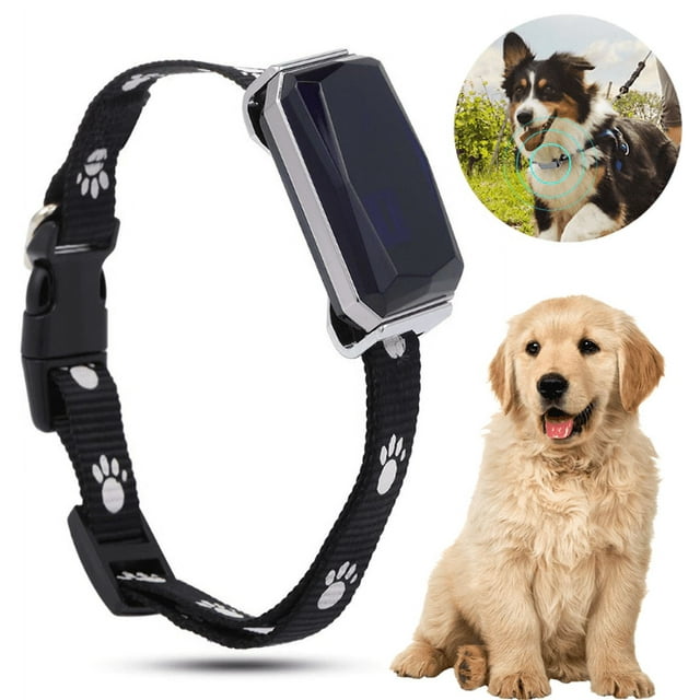 Wisdom Pet GPS Tracker, No Monthly Fee, Real-Time Tracking Collar ...