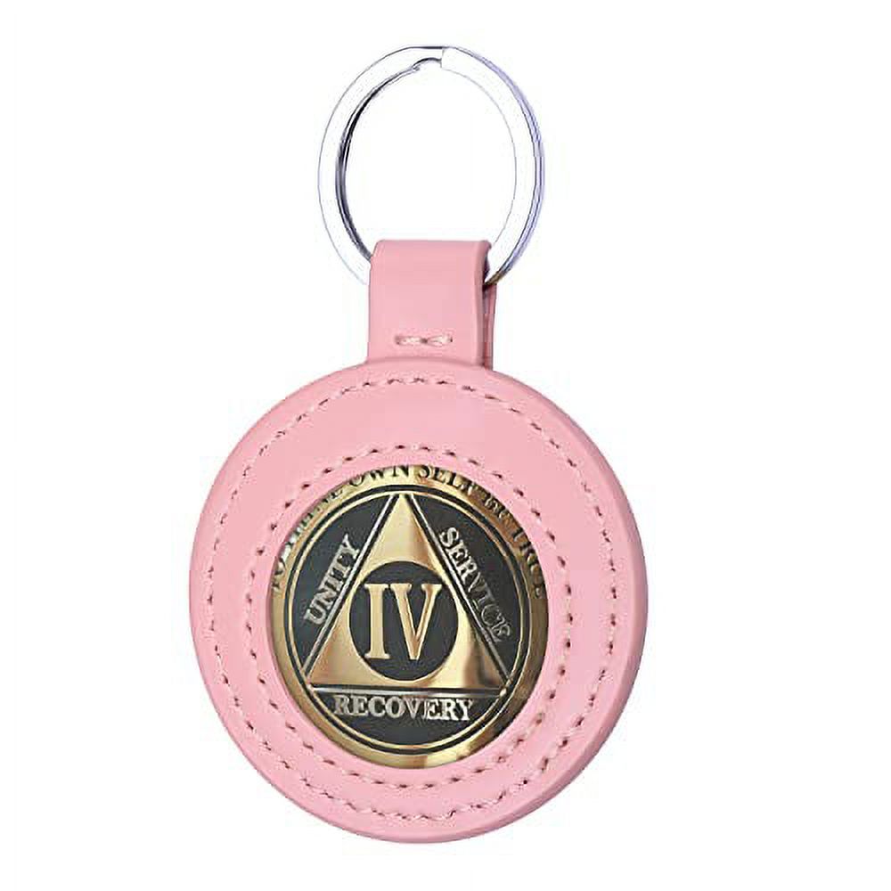 Wisdompro PU Leather Coin Holder Keychain for AA Medallion, Standard ...