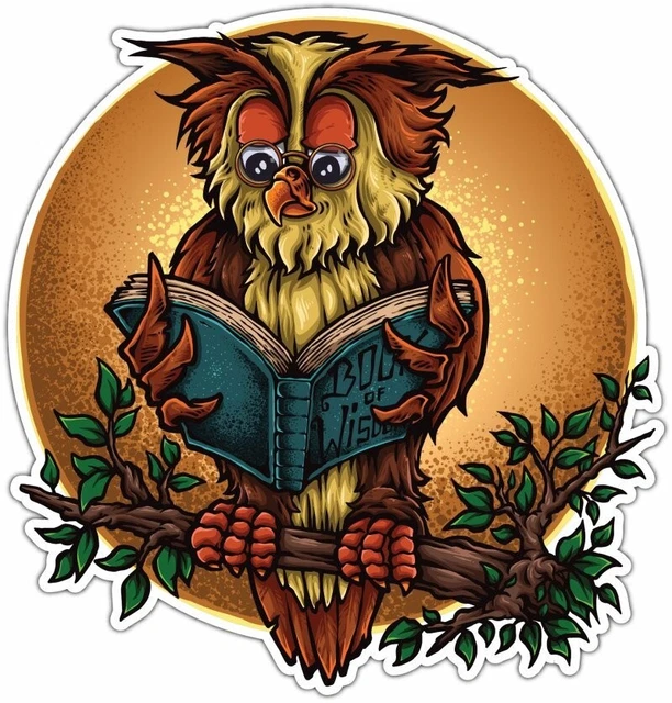 Wise Owl Reading Book Car Window Stickerphone Decal Water Bottle ...