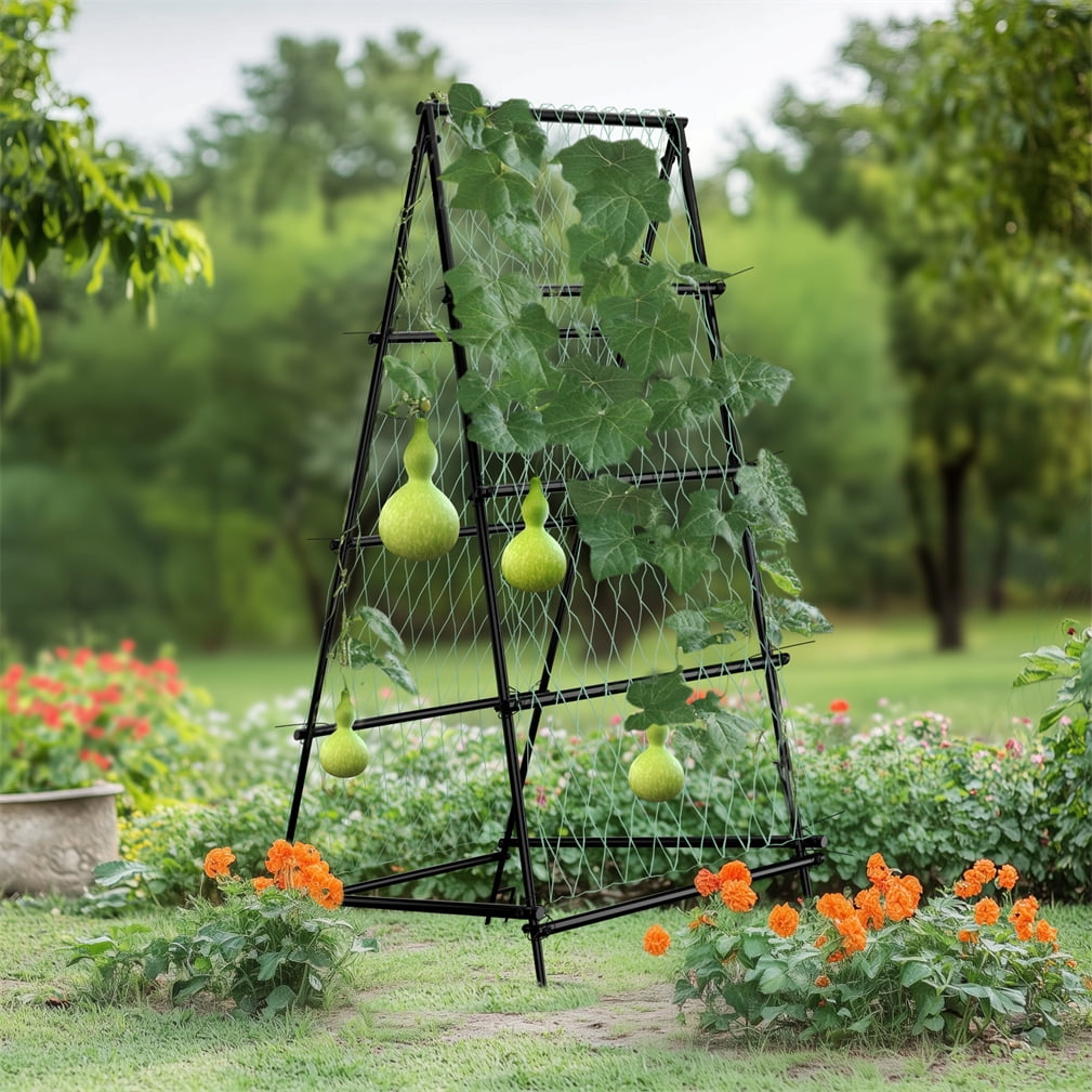 Wisfor Thicker Iron Tall Cucumber Trellis Climbing Plants Garden ...