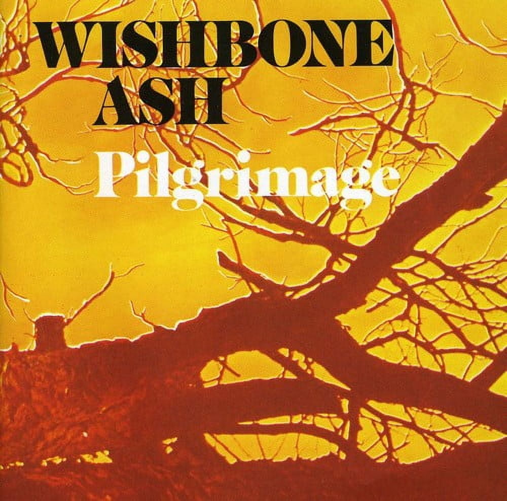 Wishbone Ash - Pilgrimage - Music & Performance - CD - Walmart.com