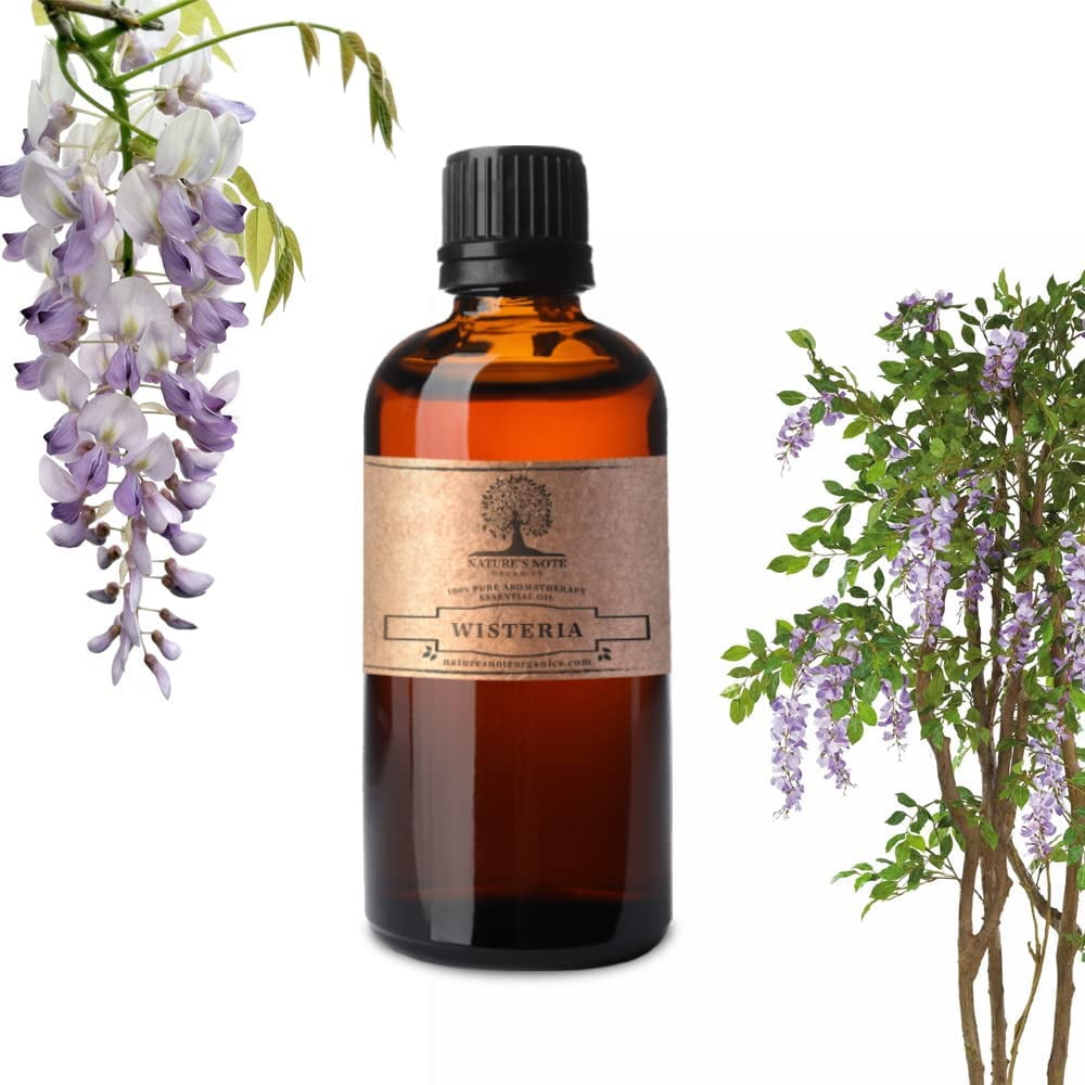 Wisteria Essential oil - 100% Pure Aromatherapy Grade Essential oil by ...