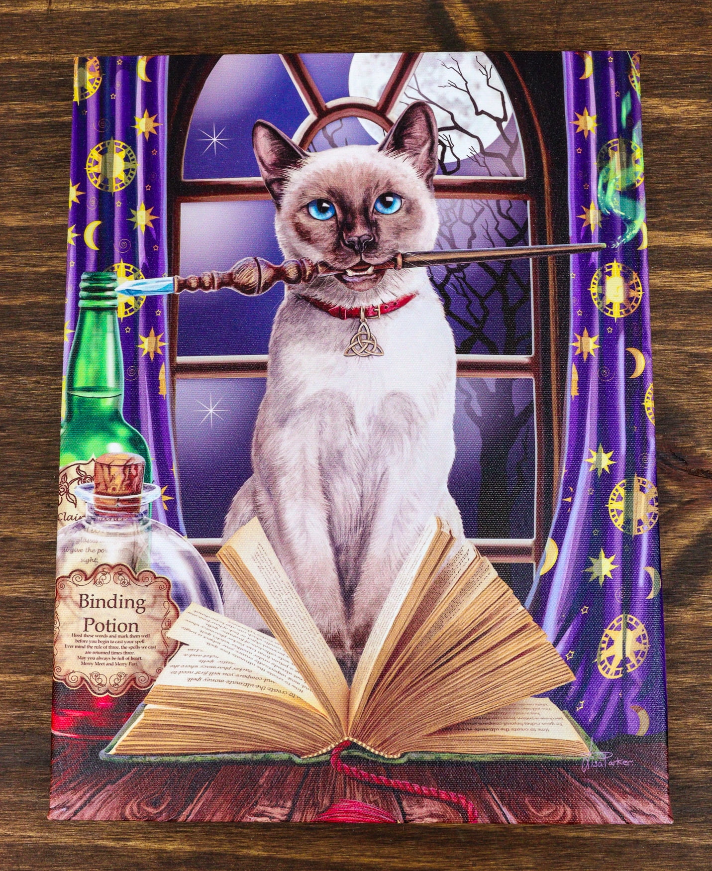 Witch Hocus Pocus Magic Wand Cat With Spellbook Wood Framed Canvas Wall ...