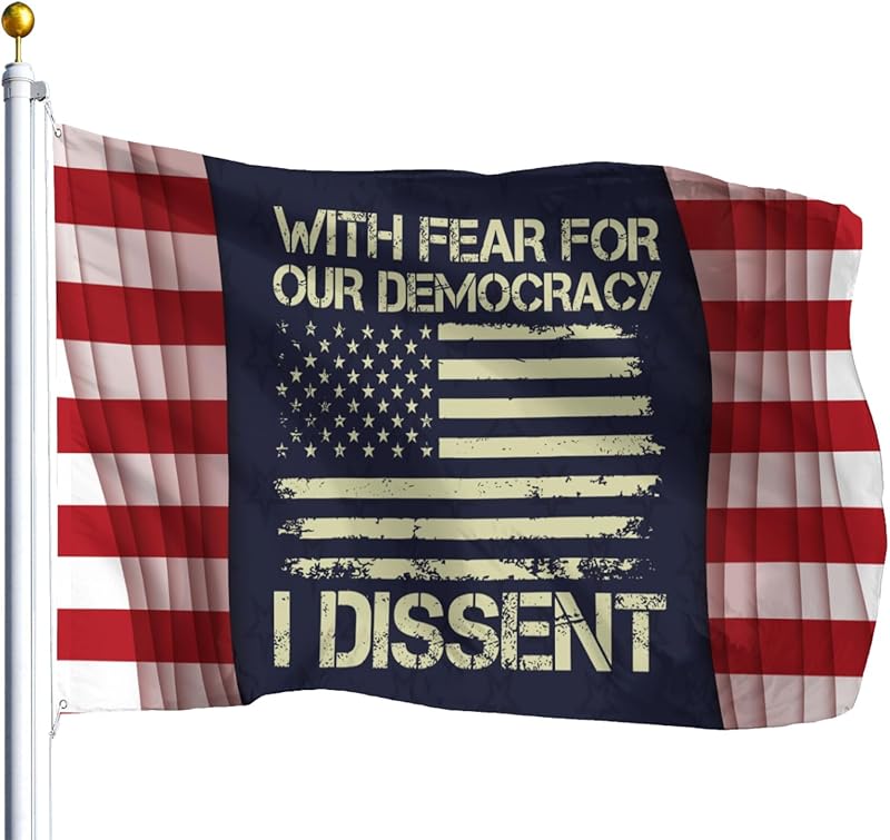 With Fear For Our Democracy I Dissent Flags For Room Guys Flags 3x5 ...