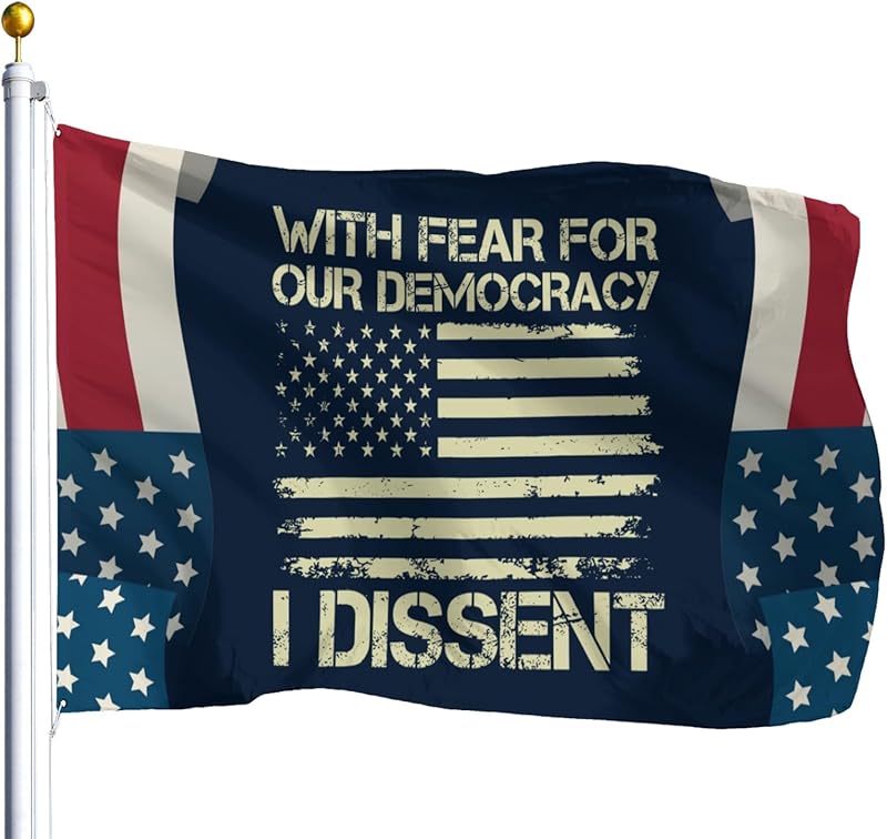 With Fear For Our Democracy I Dissent Flags For Room Guys Flags 3x5 ...