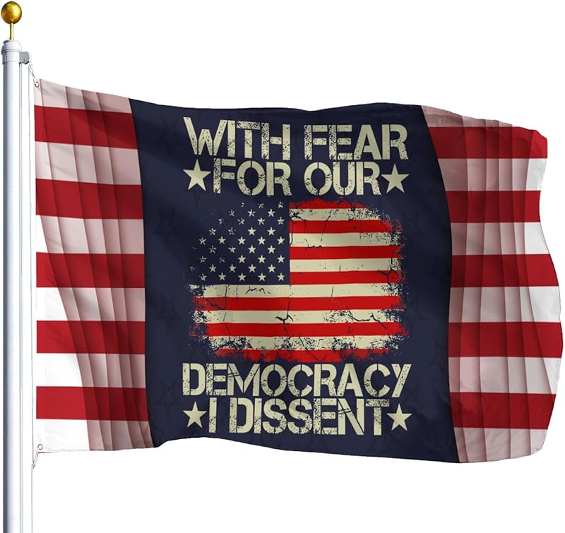 With Fear For Our Democracy I Dissent Funny Flags Flags For Room Guys ...