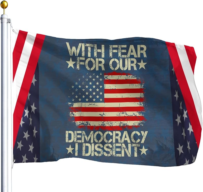 With Fear For Our Democracy I Dissent Funny Flags Flags For Room Guys ...
