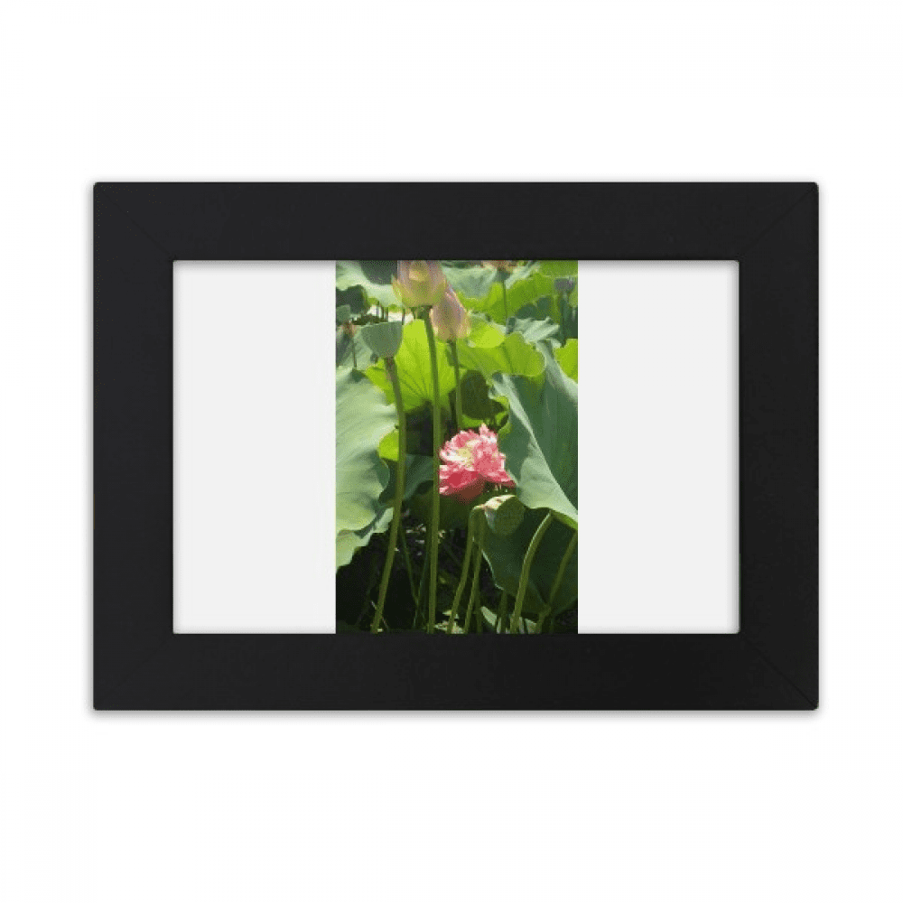 Withered Lotus Pond Art Deco Fashion Desktop Photo Frame Ornaments ...