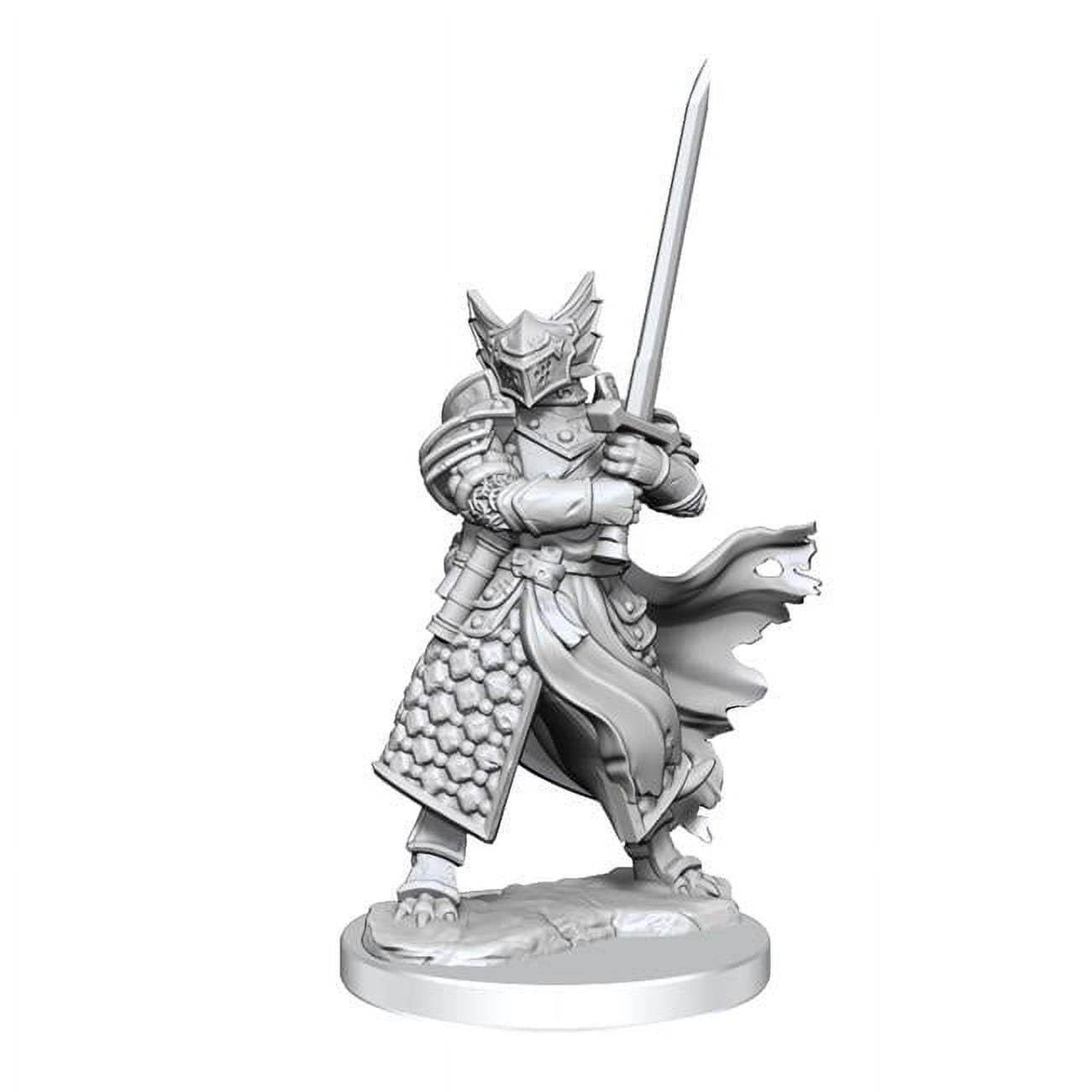 WizKids WZK75022 Male Dungeons & Dragons Frameworks Wave 1 Dragonborn ...