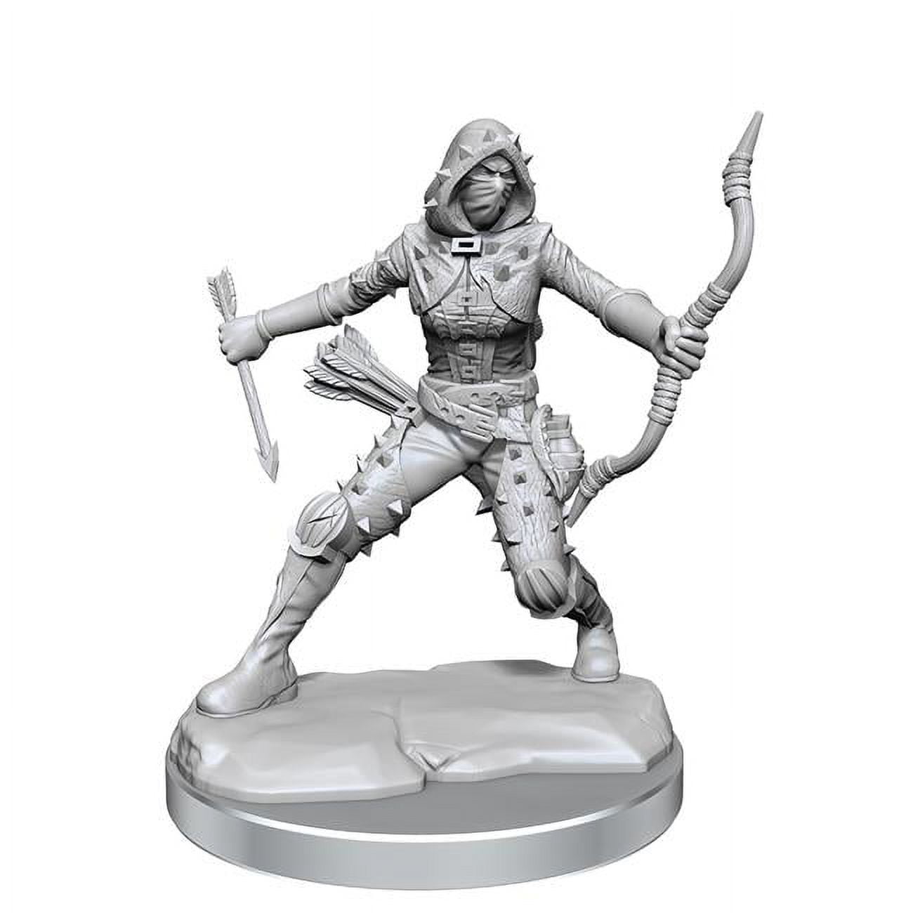 WizKids WZK75038 Female Dungeons & Dragons Frameworks Wave 1 Human ...