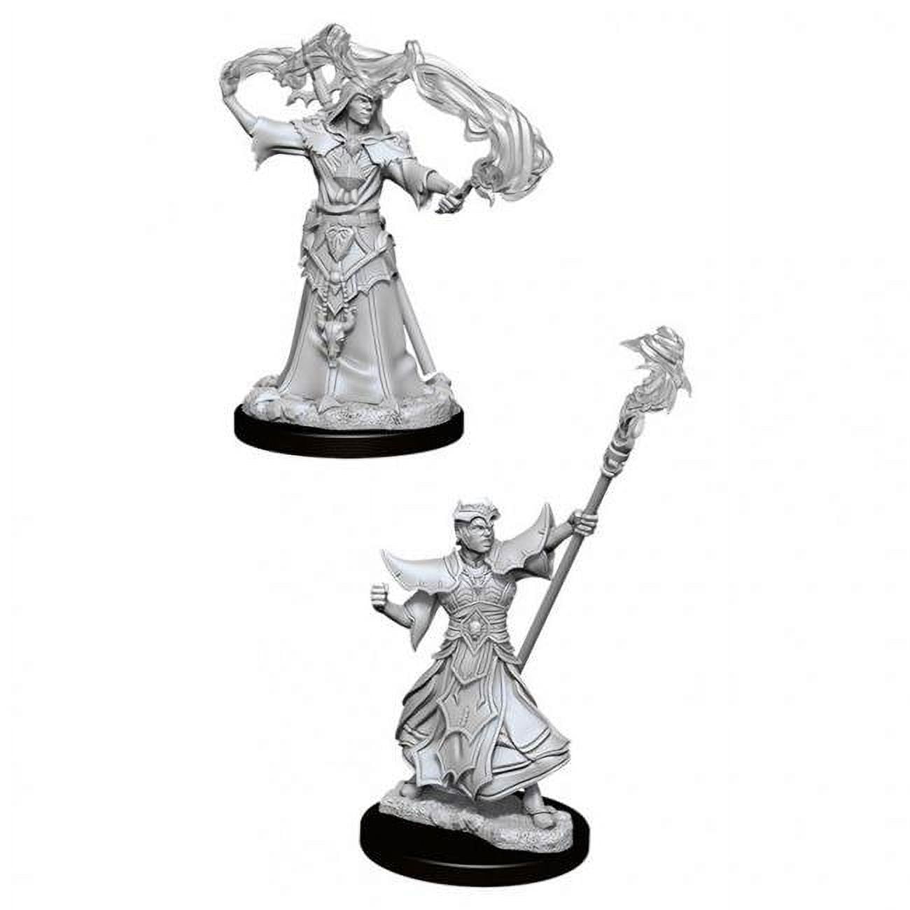 Human Sorcerer Miniature
