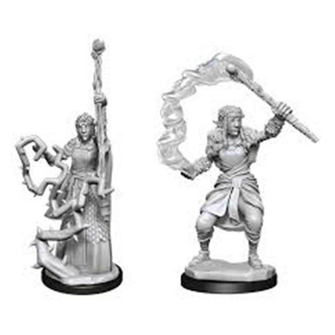 WizKids WZK90146 Dungeons & Dragons Firbolg Druid Female W13 Nolzurs ...