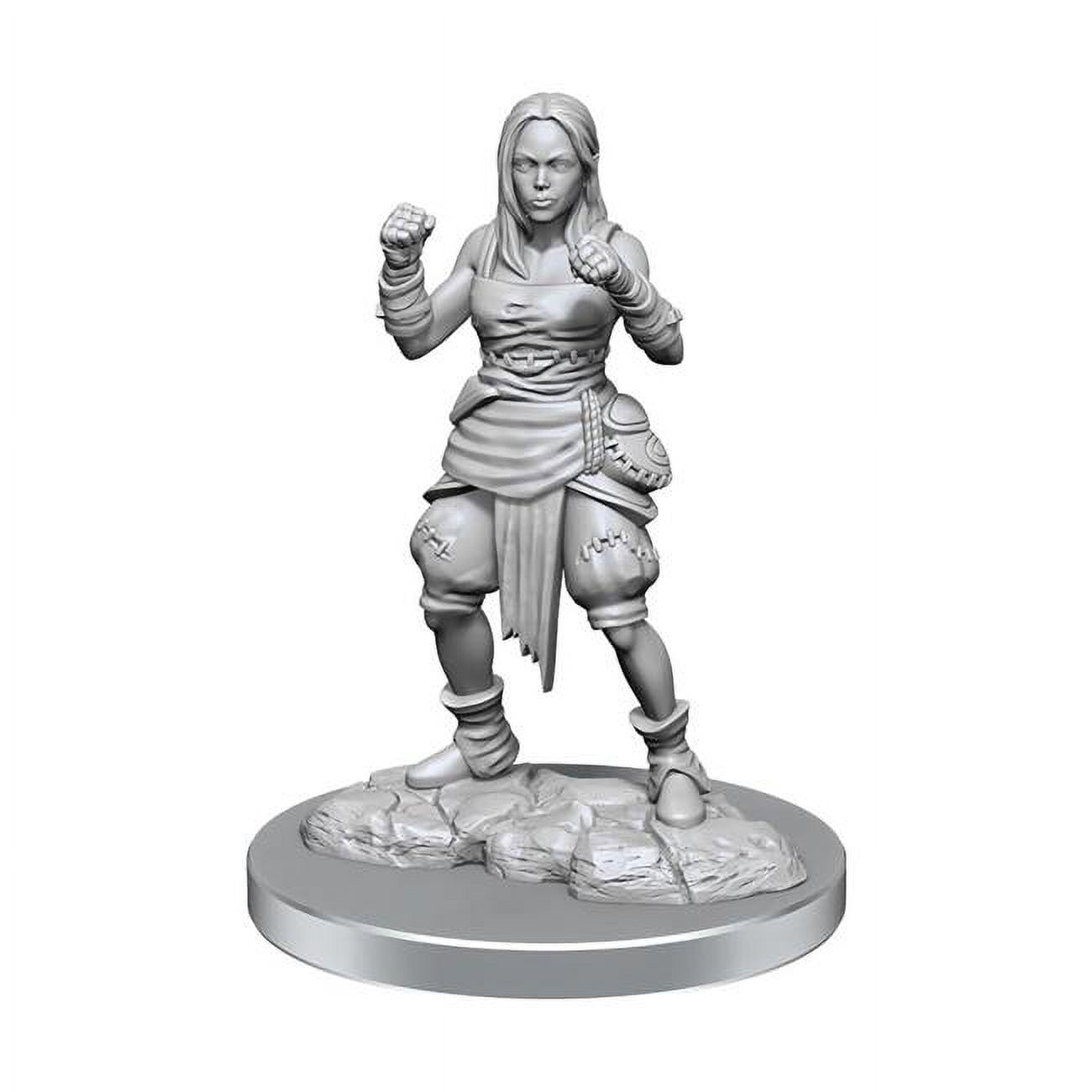 WizKids WZK90652 28 mm Pathfinder Deep Cuts Mini Half-Elf Female W21 ...