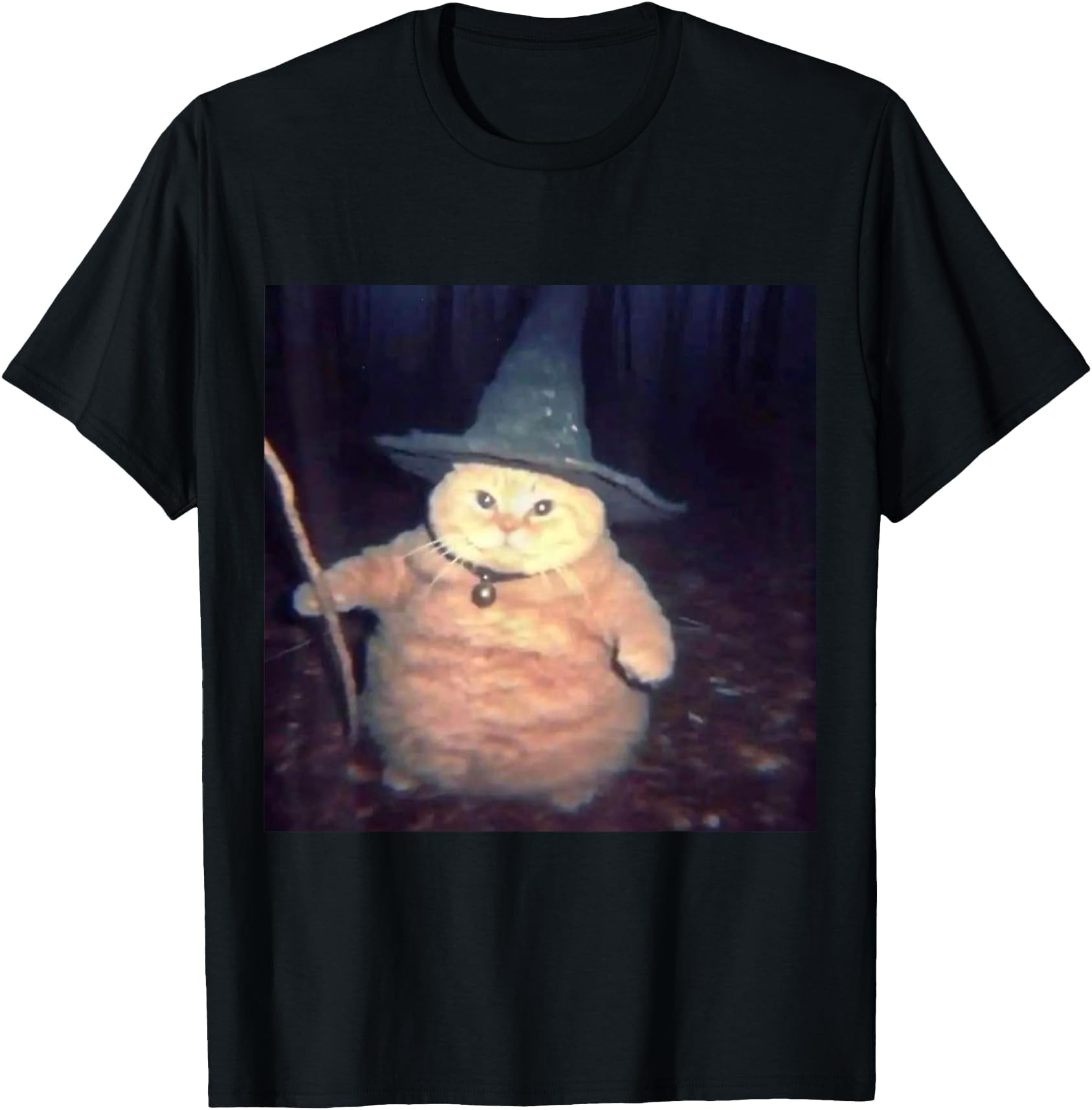 Wizard Cat Weird Funny Halloween Cat Meme T-Shirt - Walmart.com