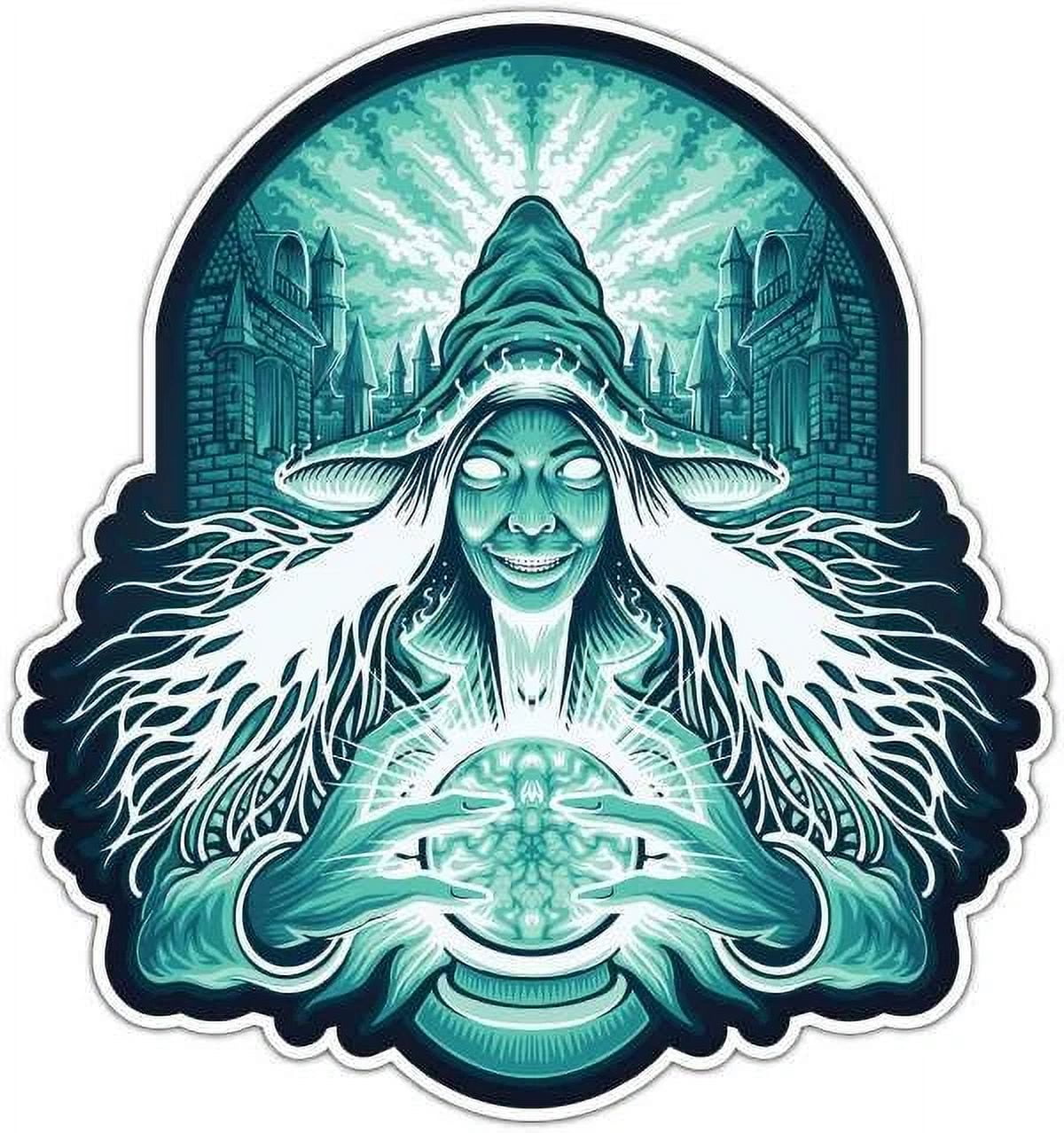 Wizard Girl Magic Woman Mystical Crystal Ball Stickerphone Decal Water Bottle Stickers, Vinyl ...