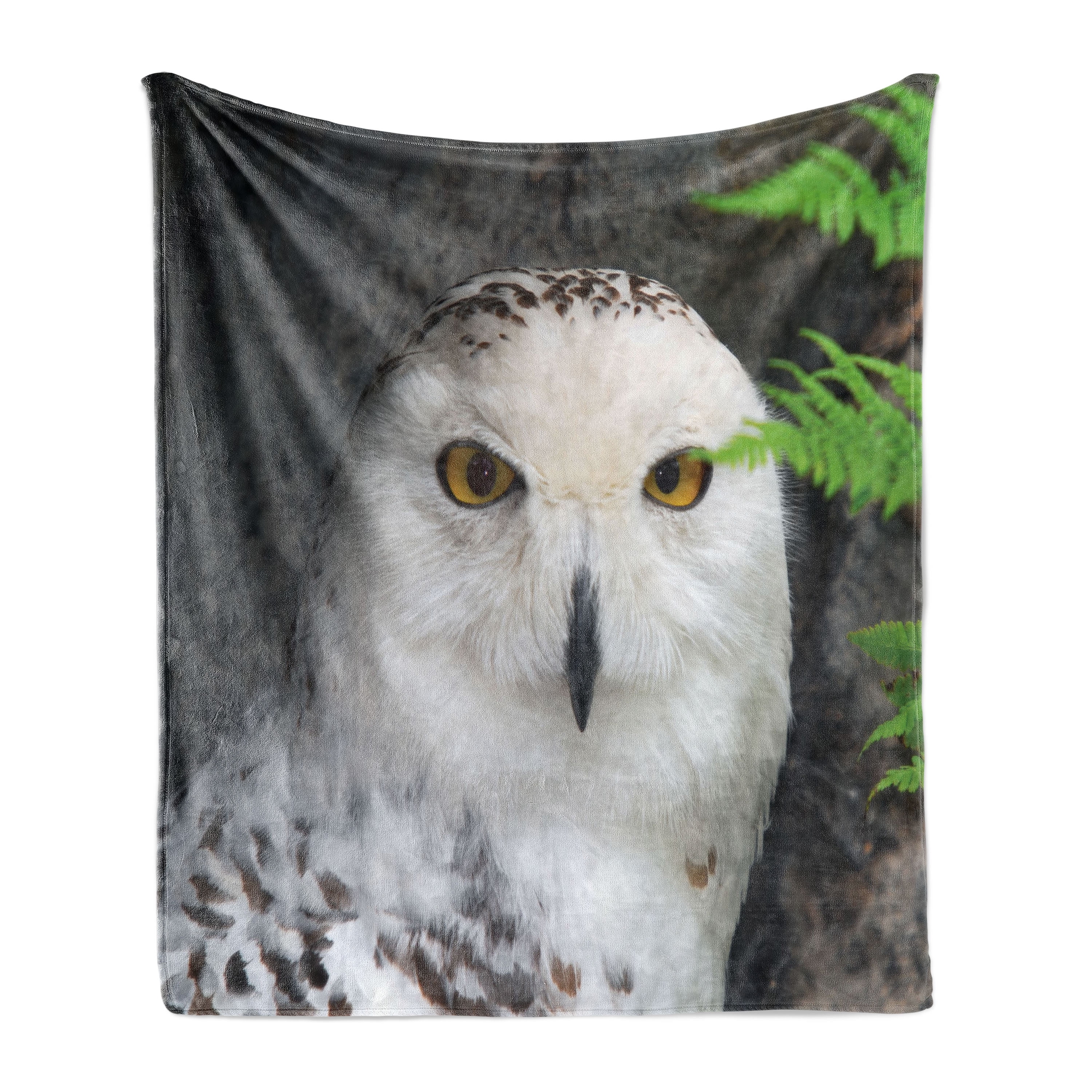 Owls Print Patterns Eyes