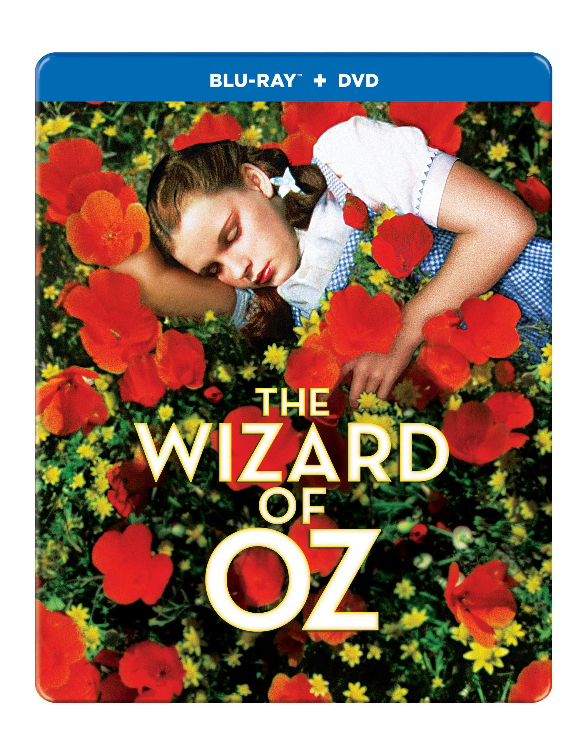Wizard of Oz (Steelbook/Blu-ray) [Blu-ray] - Walmart.com