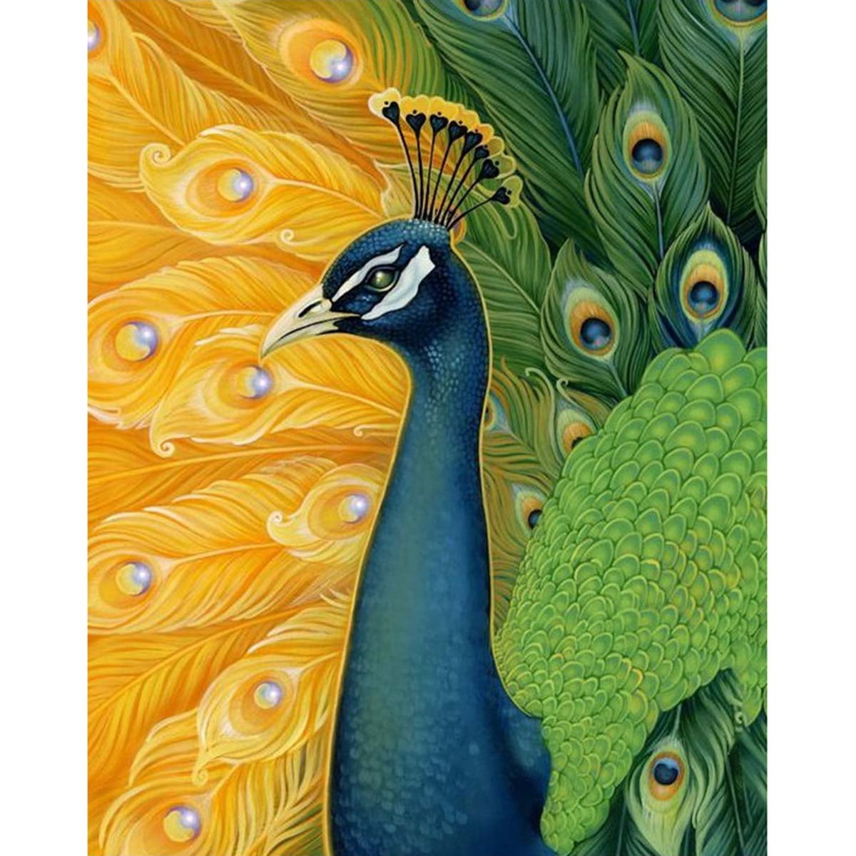 Wizardi Peacock Diamond Painting - Walmart.com