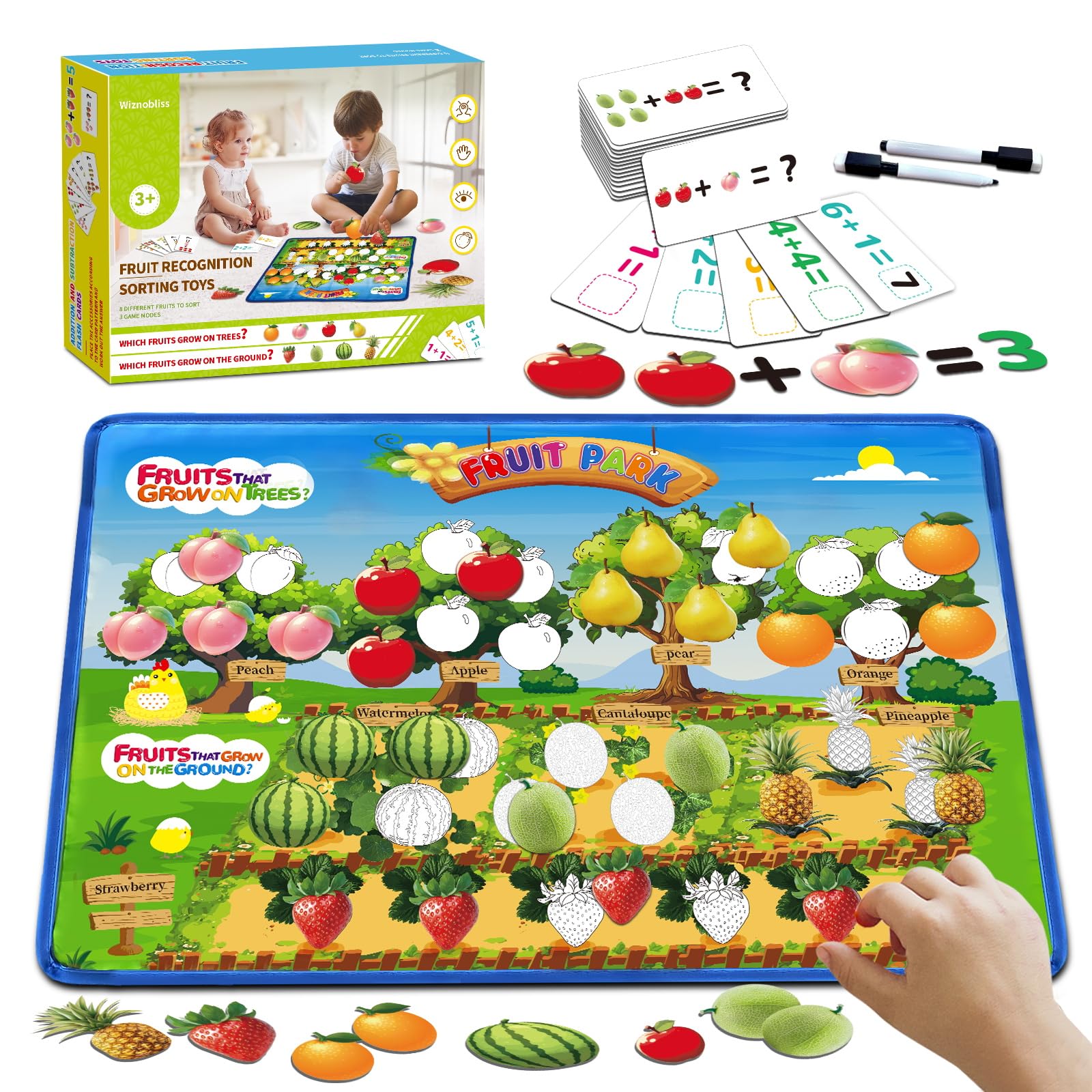 Wiznobliss Sorting Toys for RRF12 Toddlers,Fruit Sorting Matching Game ...