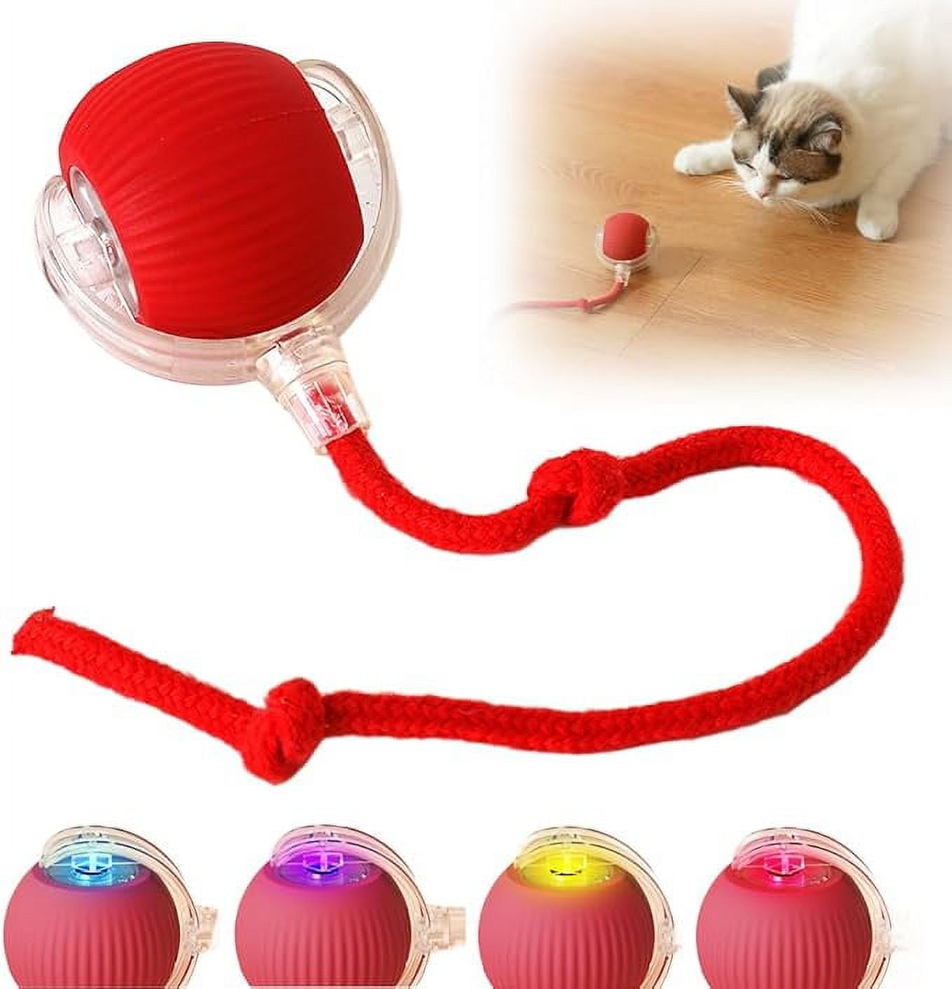 Wldoasz Interactive Dog Ball, Active Rolling Ball for Dogs, Lettuce ...