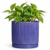Wliror 6 Inch Classic Blue Ceramic Planter with Saucer, Round Flower ...