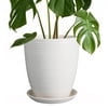 Wliror 6 Inch Mint Green Ceramic Plant Pot with Drainage – Cool Pastel ...
