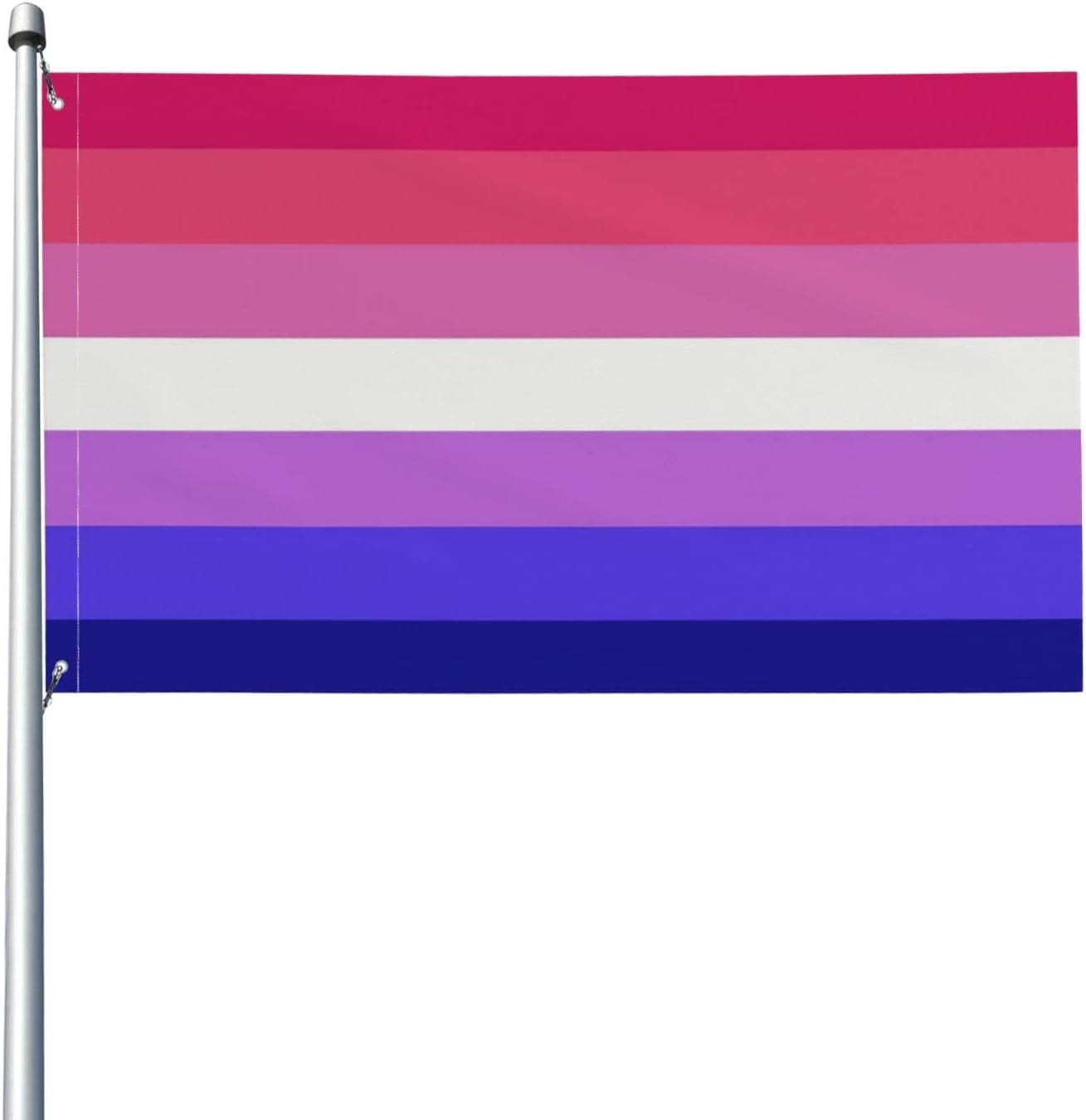 Wlw Pride Bi Lesbian Flag Gay-Gigapixel Welcome Party Outdoor Outside ...