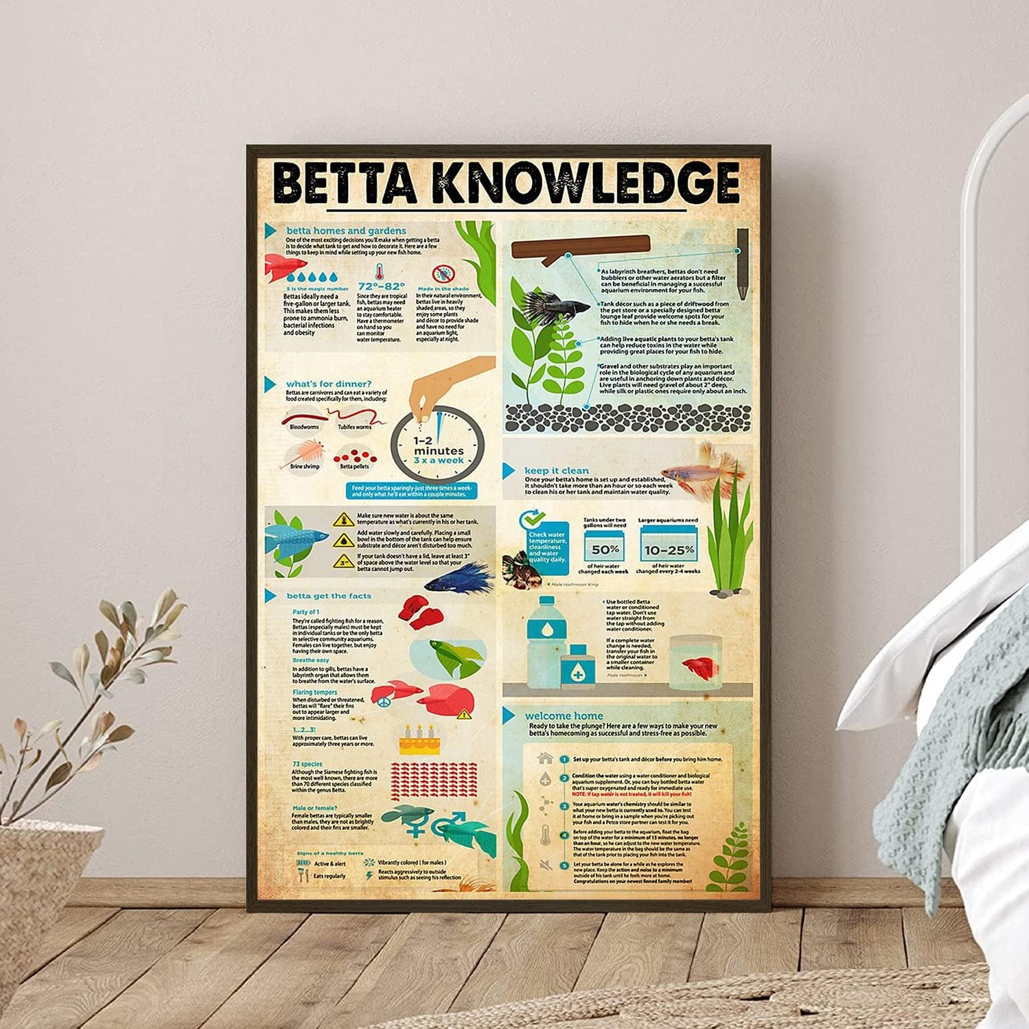 Wnnyof Retro Metal Tin Sign 8 X 12 Inches Betta Splendens Fish ...